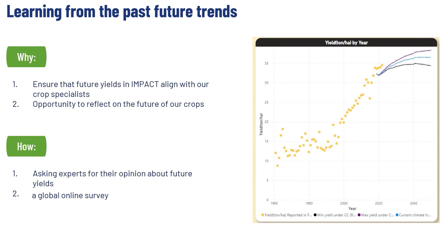 IPR tool - Foresight